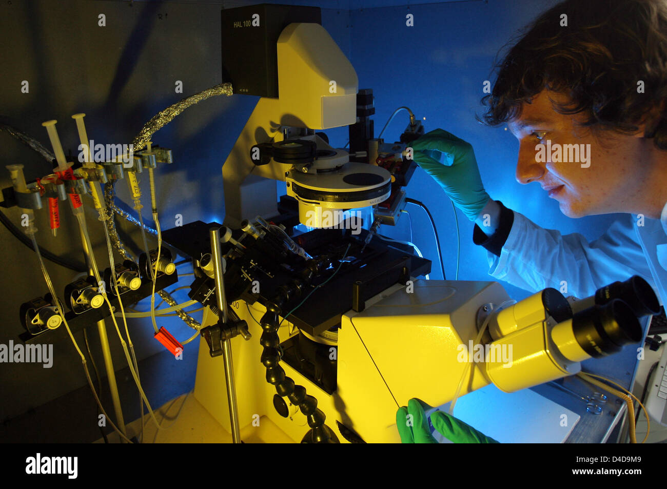 Graduate student Ronnjy Schaefer stimulates nerve cells under a ...