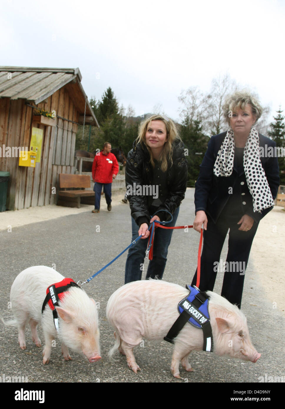 German actresses Susanne Michel (L) and Grit Boettcher pose with pigs ...