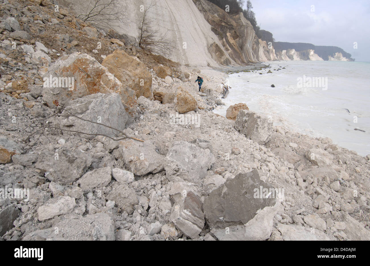A man searching for fossils is pictured at the white chalk cliffs on ...