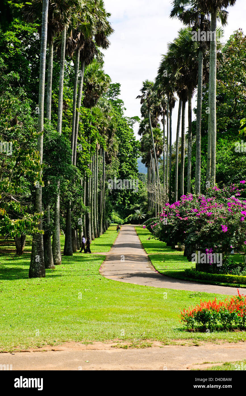 Royal Botanic Gardens,established in 1843 with plants brought from Kew ...