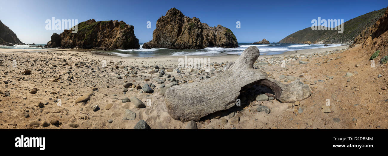 Pfeiffer beach view hi-res stock photography and images - Alamy