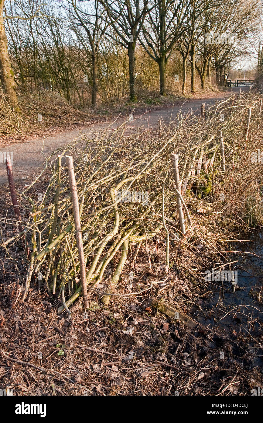 Cuerden valley park hi-res stock photography and images - Alamy