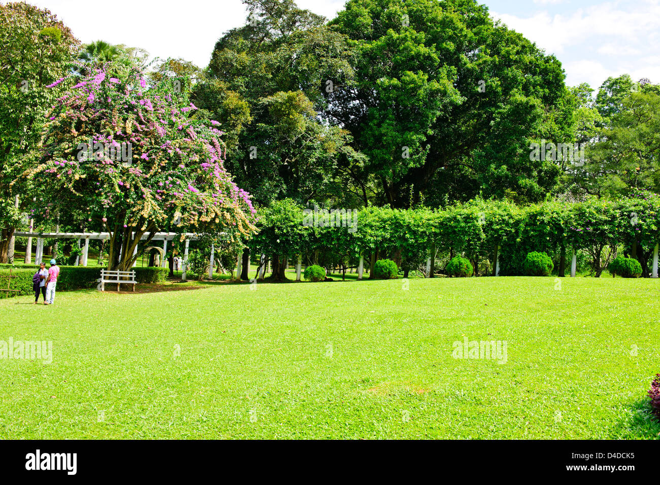 Royal Botanic Gardens,established in 1843 with plants brought from Kew ...