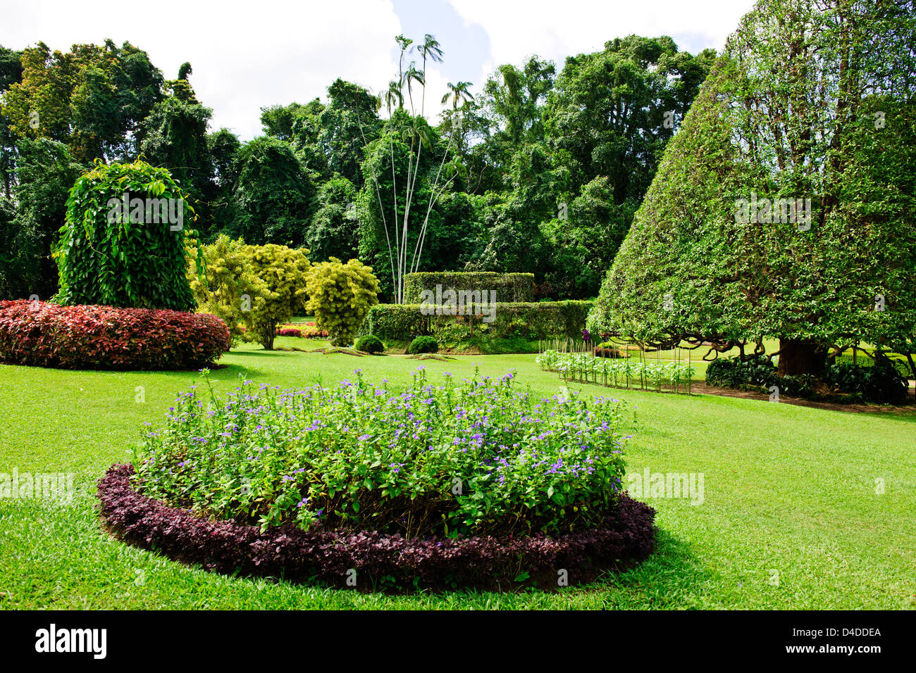 Royal Botanic Gardens,established in 1843 with plants brought from Kew ...