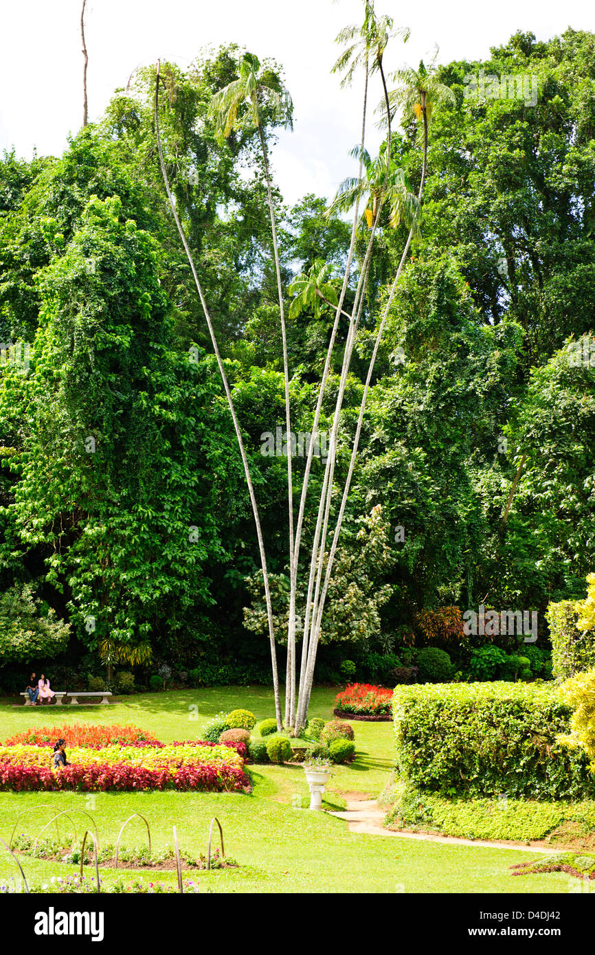 Royal Botanic Gardens,established in 1843 with plants brought from Kew ...