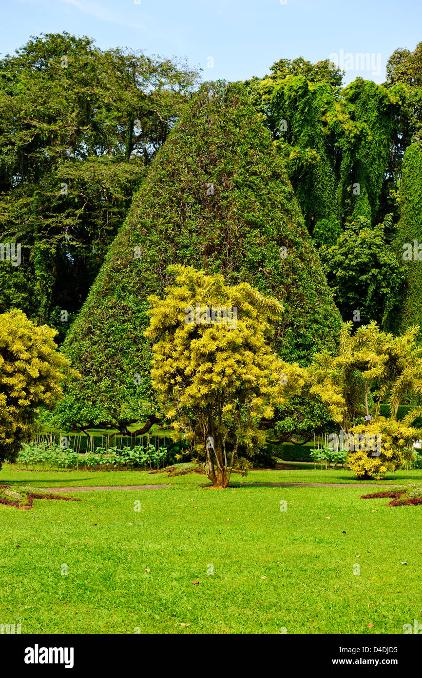 Royal Botanic Gardens,established in 1843 with plants brought from Kew ...