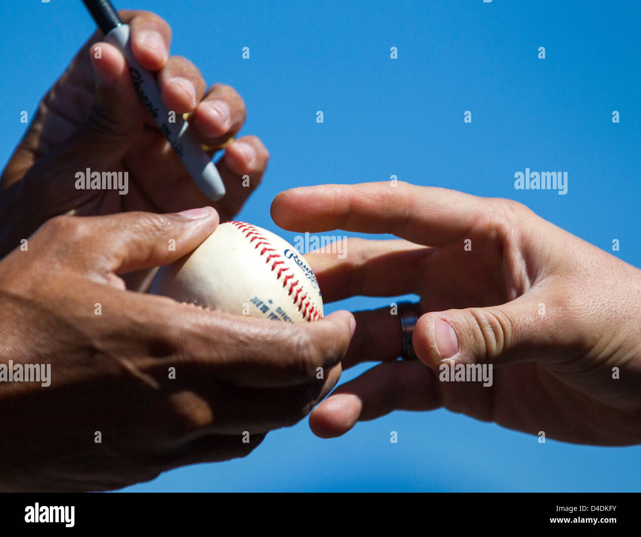 Baseball fan waiting for an autograph Stock Photo - Alamy