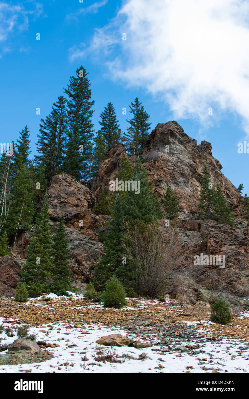Rocky Mountains with trees in the foreground Stock Photo - Alamy