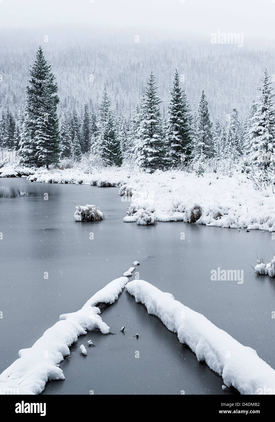 Tree logs in ice hi-res stock photography and images - Alamy
