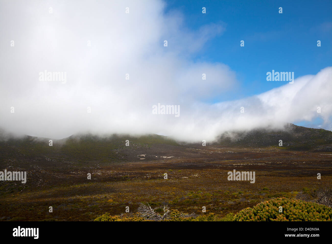Cape Point Landscape and Vegetation - Western Cape - South Africa Stock ...