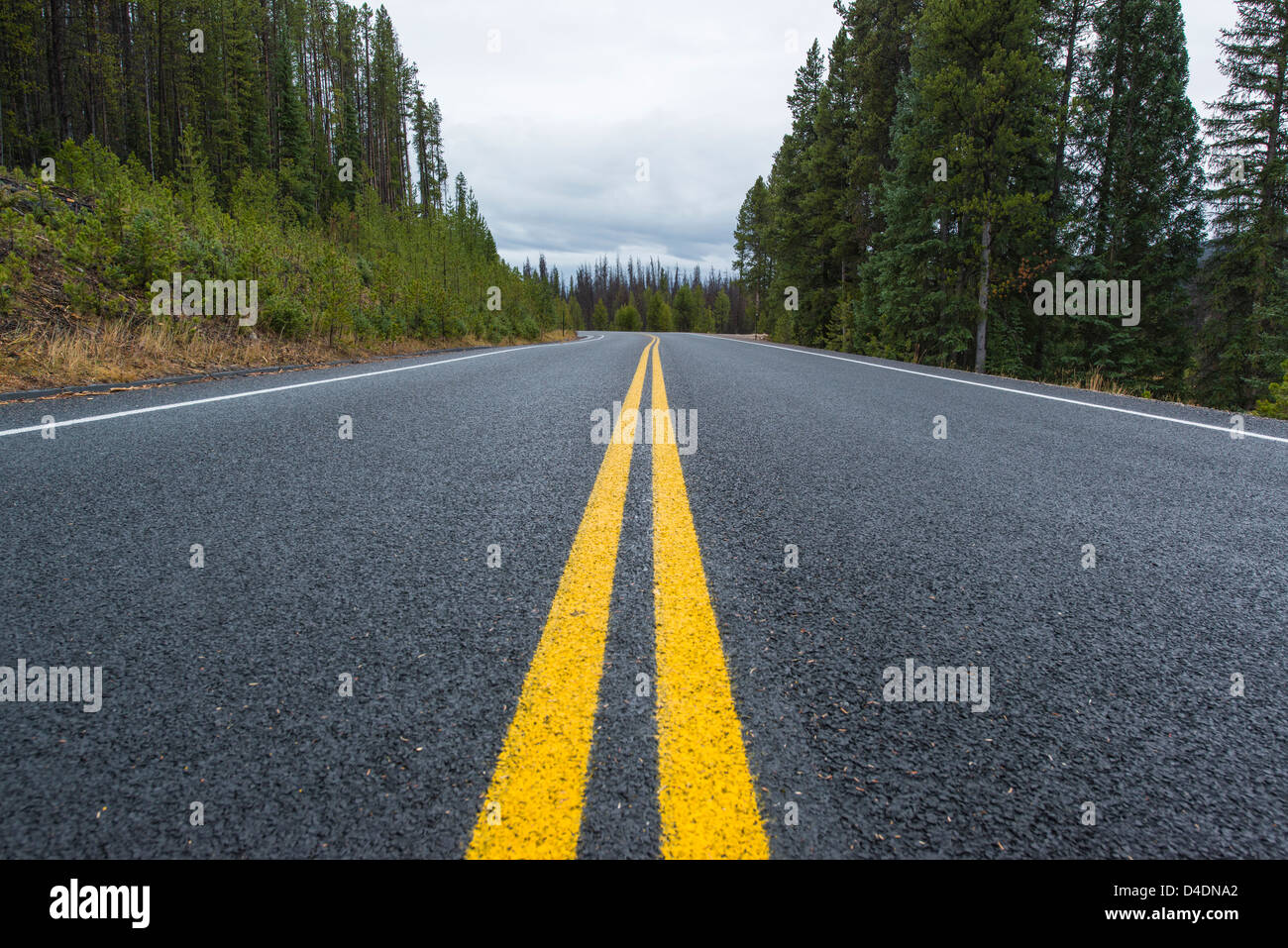 Yellow line dividing the road running off into the distance in the ...