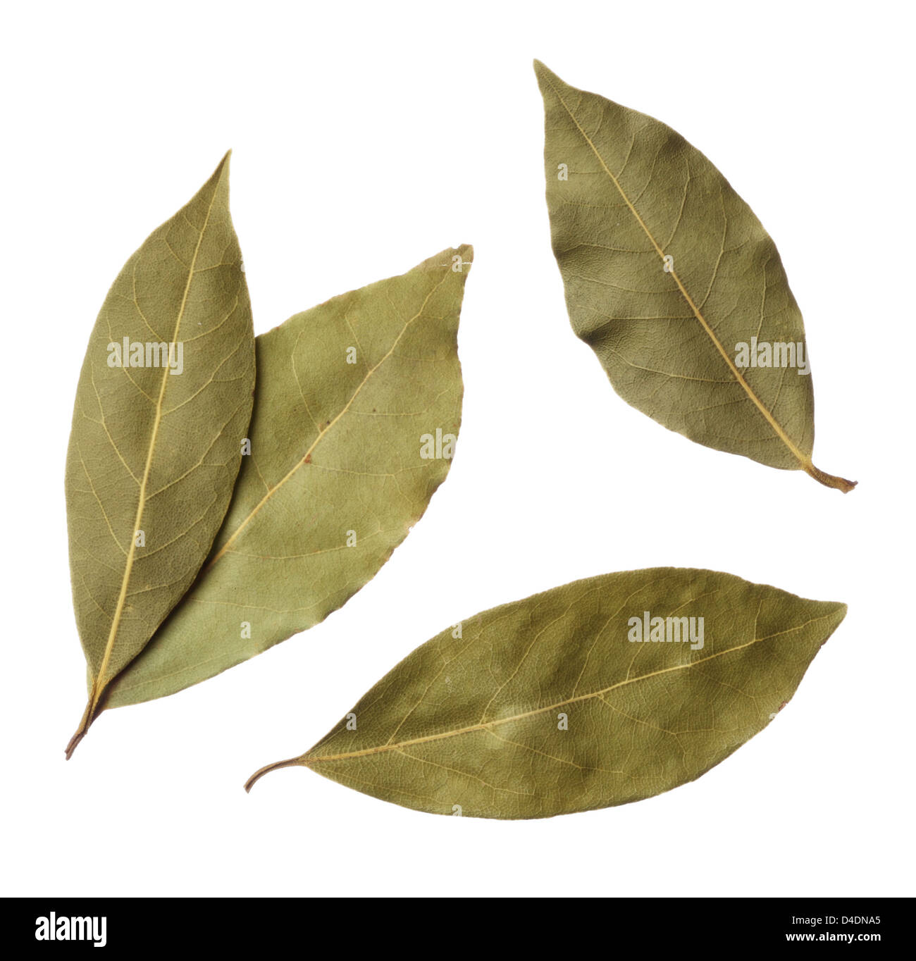 Whole bay leaves hi-res stock photography and images - Alamy