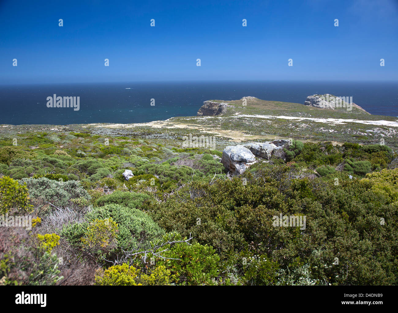 Cape Point Landscape and Vegetation - Western Cape - South Africa Stock ...