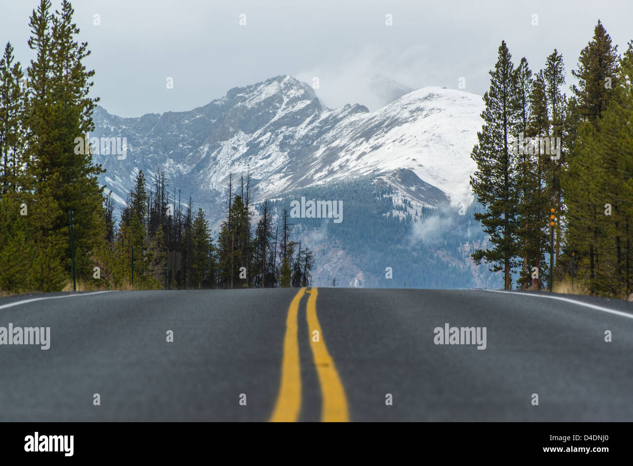 Yellow line dividing the road running off into the distance in the ...