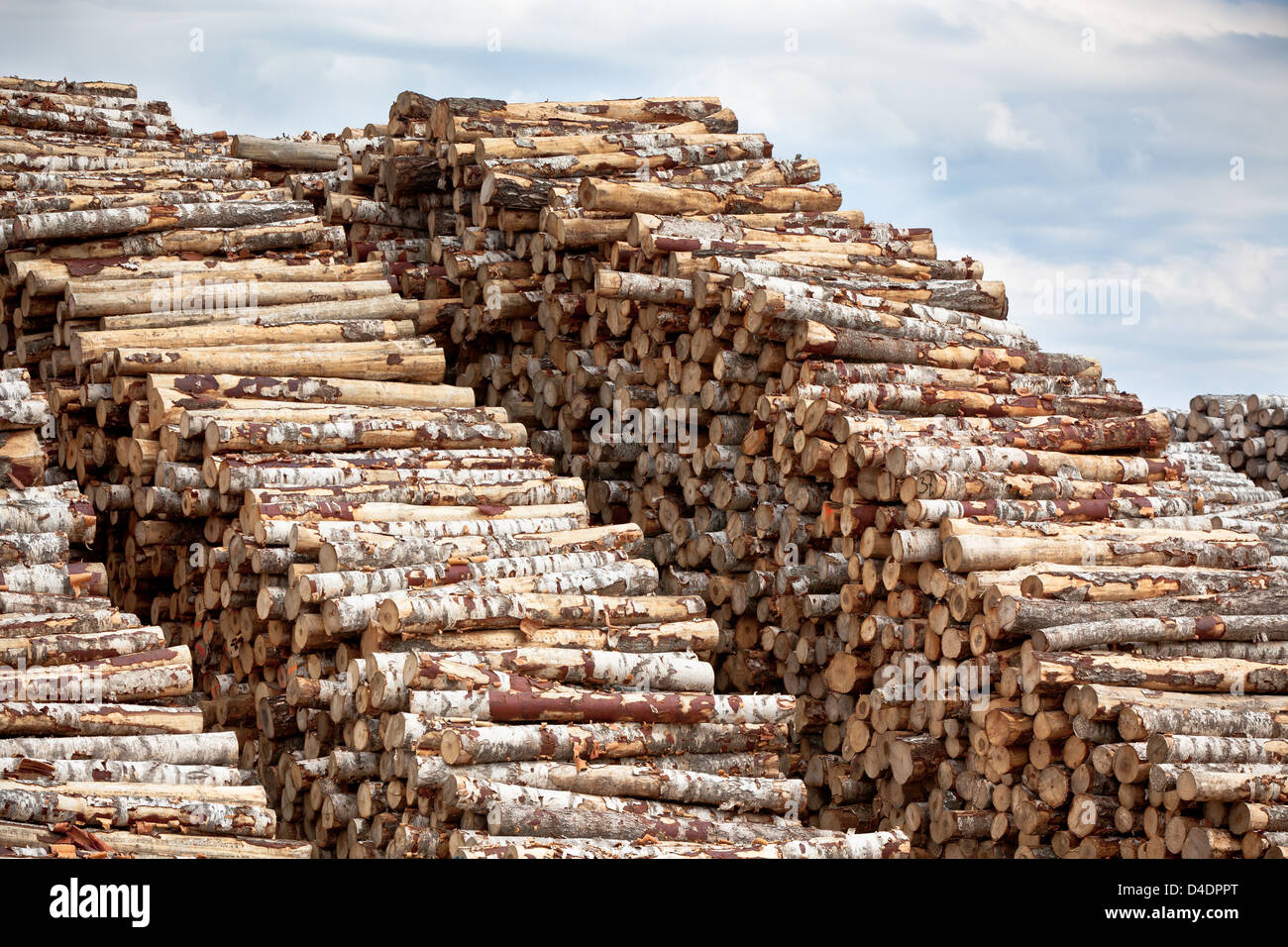 Big pile of logs on a dull sky background. Horizontal shot Stock Photo ...