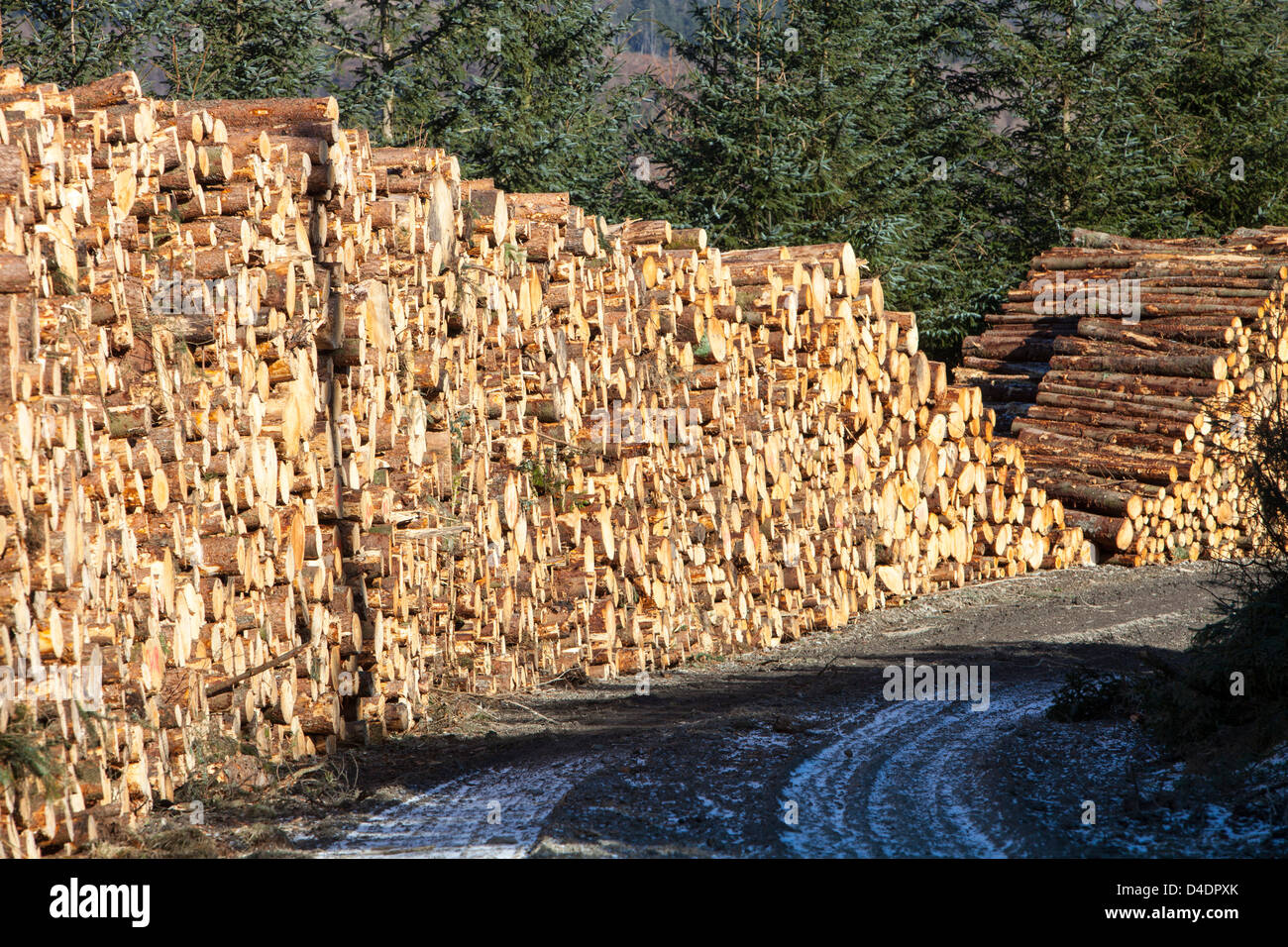 Log pile hi-res stock photography and images - Alamy