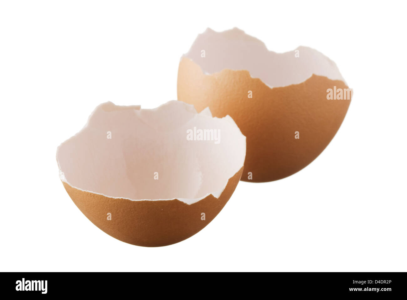 Eggshell isolated on white background Stock Photo - Alamy