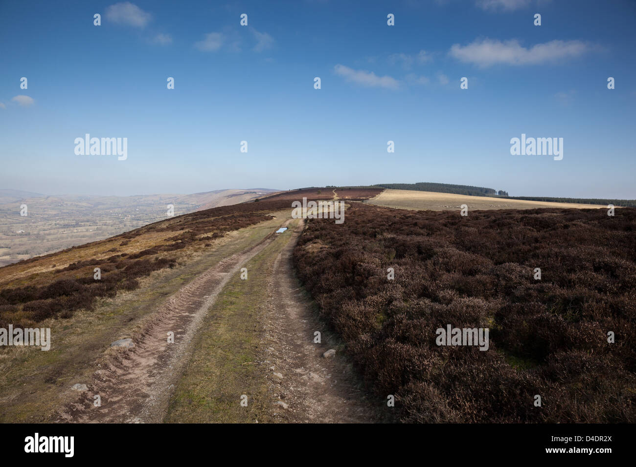 The Portway ancient track on top of The Long Mynd, near Church Stretton ...