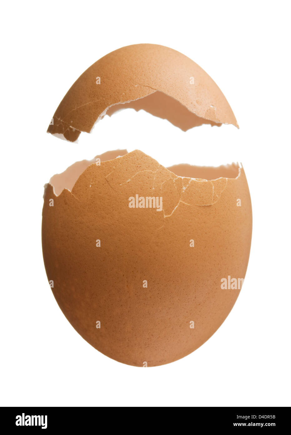 Eggshell isolated on white background Stock Photo - Alamy