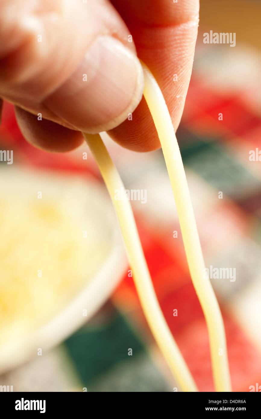 Hand holding a strand of spaghetti Stock Photo - Alamy