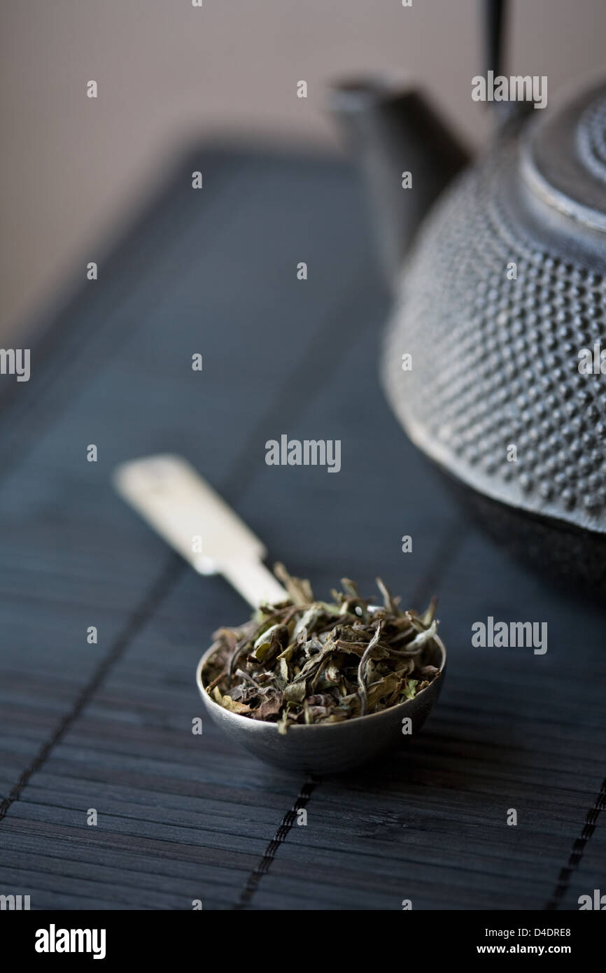 Spoon of green tea and teapot Stock Photo - Alamy