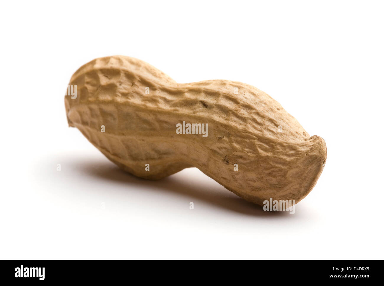 Peanut isolated on white background Stock Photo - Alamy