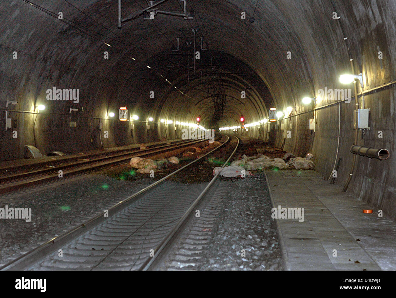 The picture shows dead sheep in the Landrueckentunnel near Kalbach ...