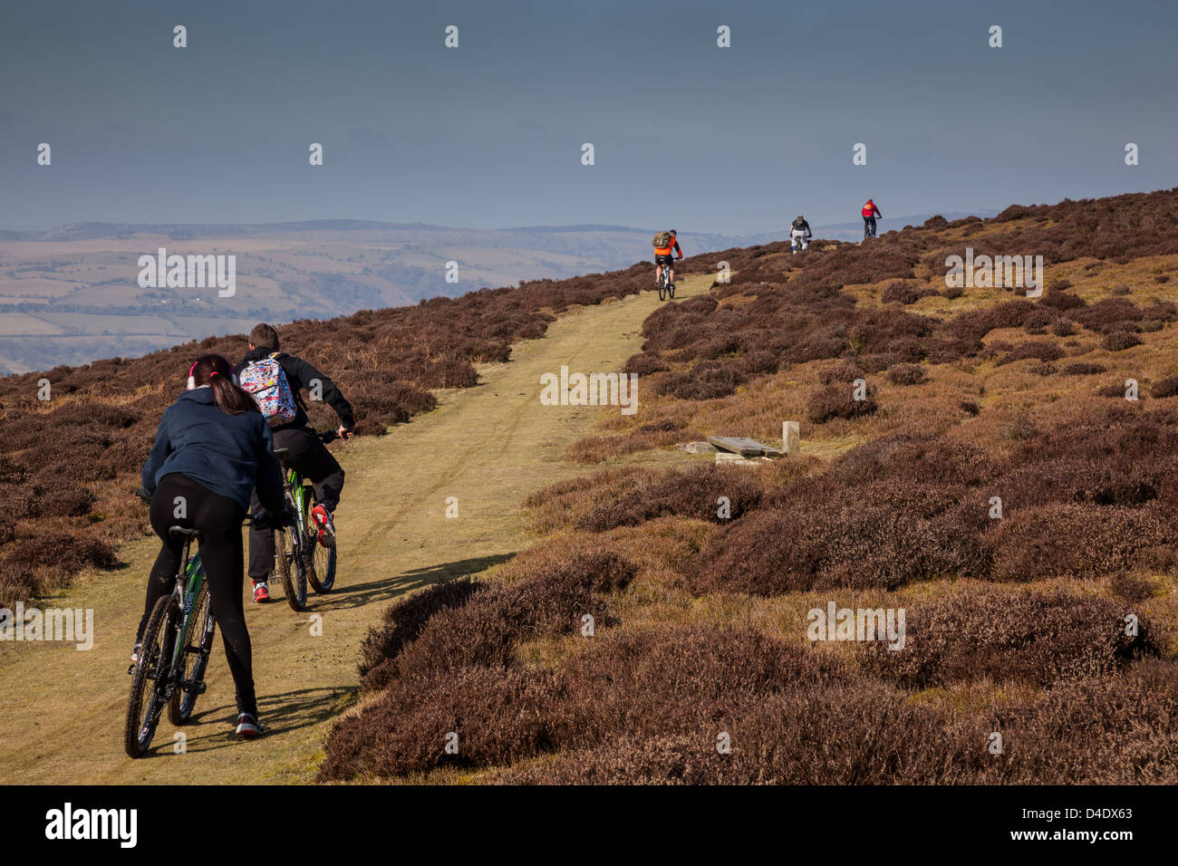 Cyclists on the Portway ancient track on top of the Long Mynd, near ...