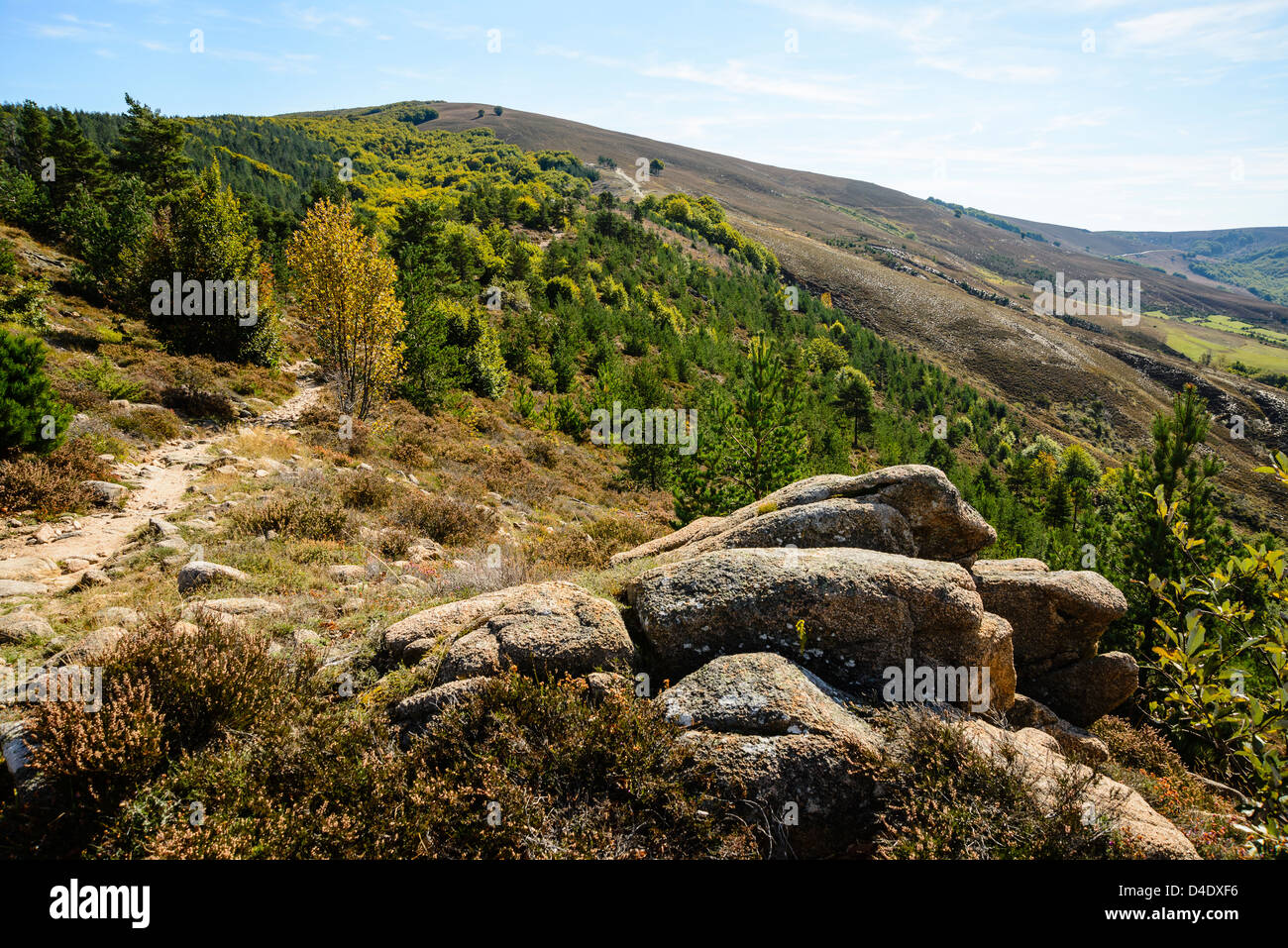 Looking up to Signal de Bougès on the Robert Louis Stevenson Trail in ...