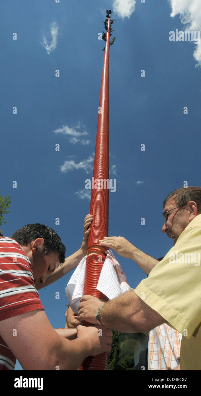 Pilgrims carry a 13-metres-tall and 50-kilograms-heavy spruce pole ...