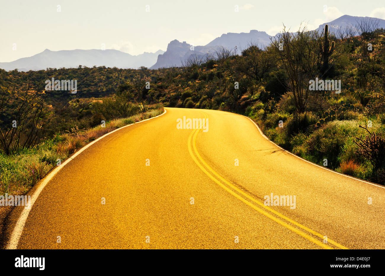 The Apache Trail in the springtime in the Sonoran Desert east of ...