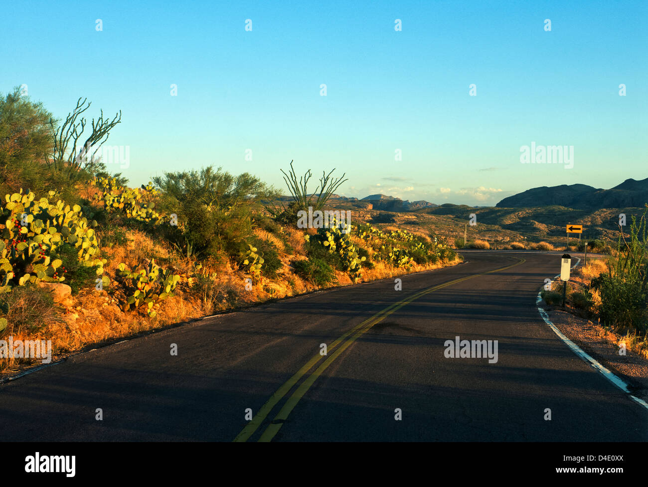 The Apache Trail in the springtime in the Sonoran Desert east of ...