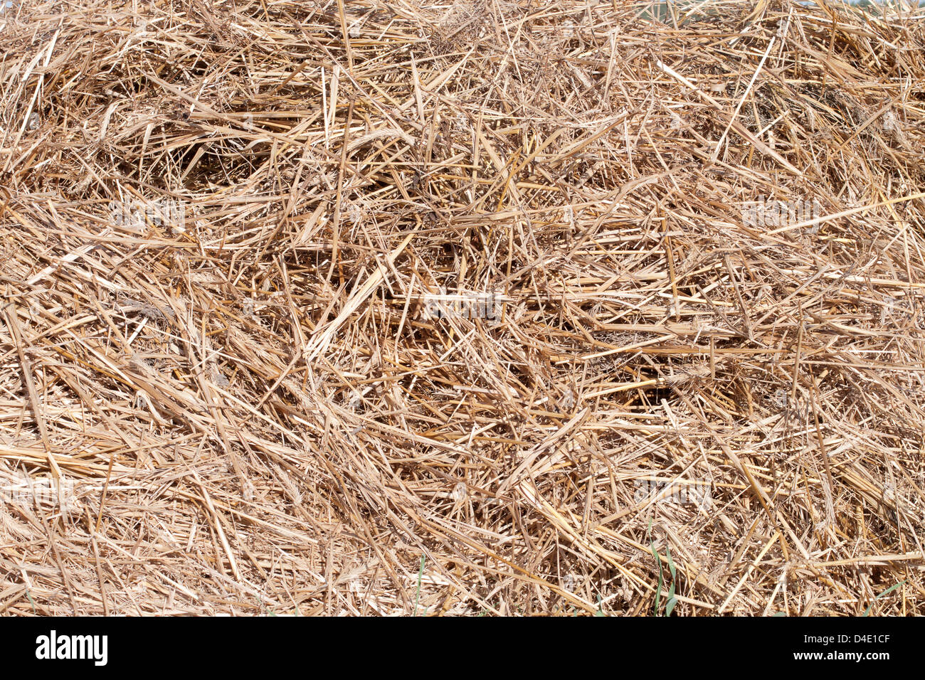 Wall stone background marble chips hi-res stock photography and images ...