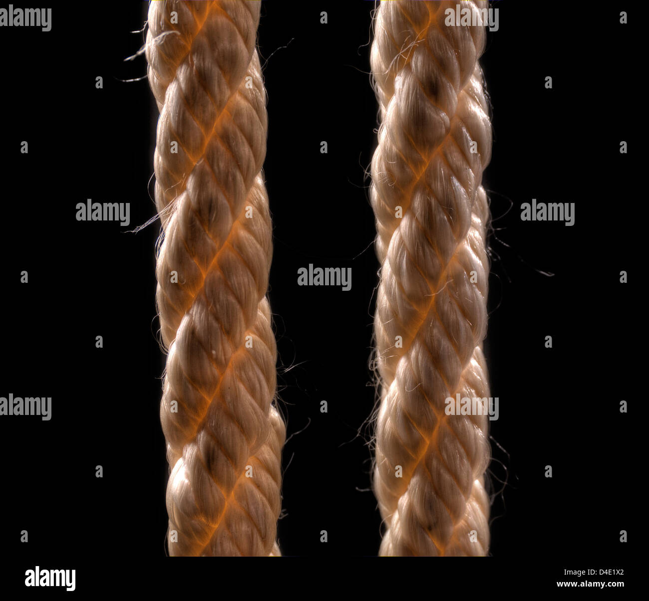thick rope hanging on a background of black walls Stock Photo - Alamy