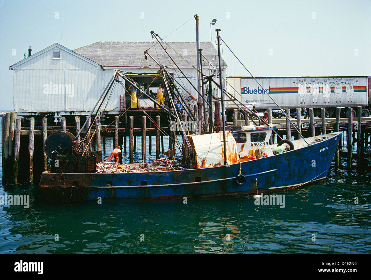 Boat unloading catch at pier hi-res stock photography and images - Alamy