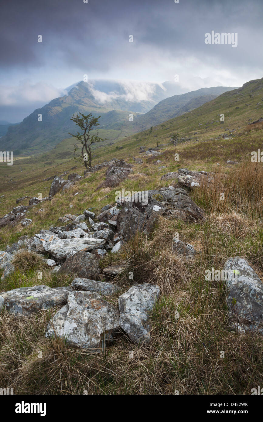 View of Gallt y Wenallt covered in cloud, Snowdon Range, Wales Stock ...