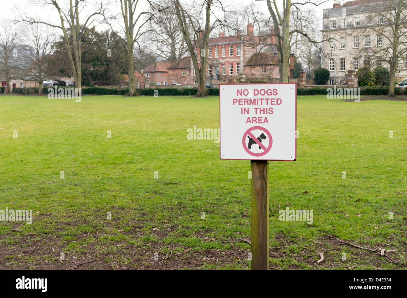No Dogs Permitted Sign High Resolution Stock Photography and Images - Alamy