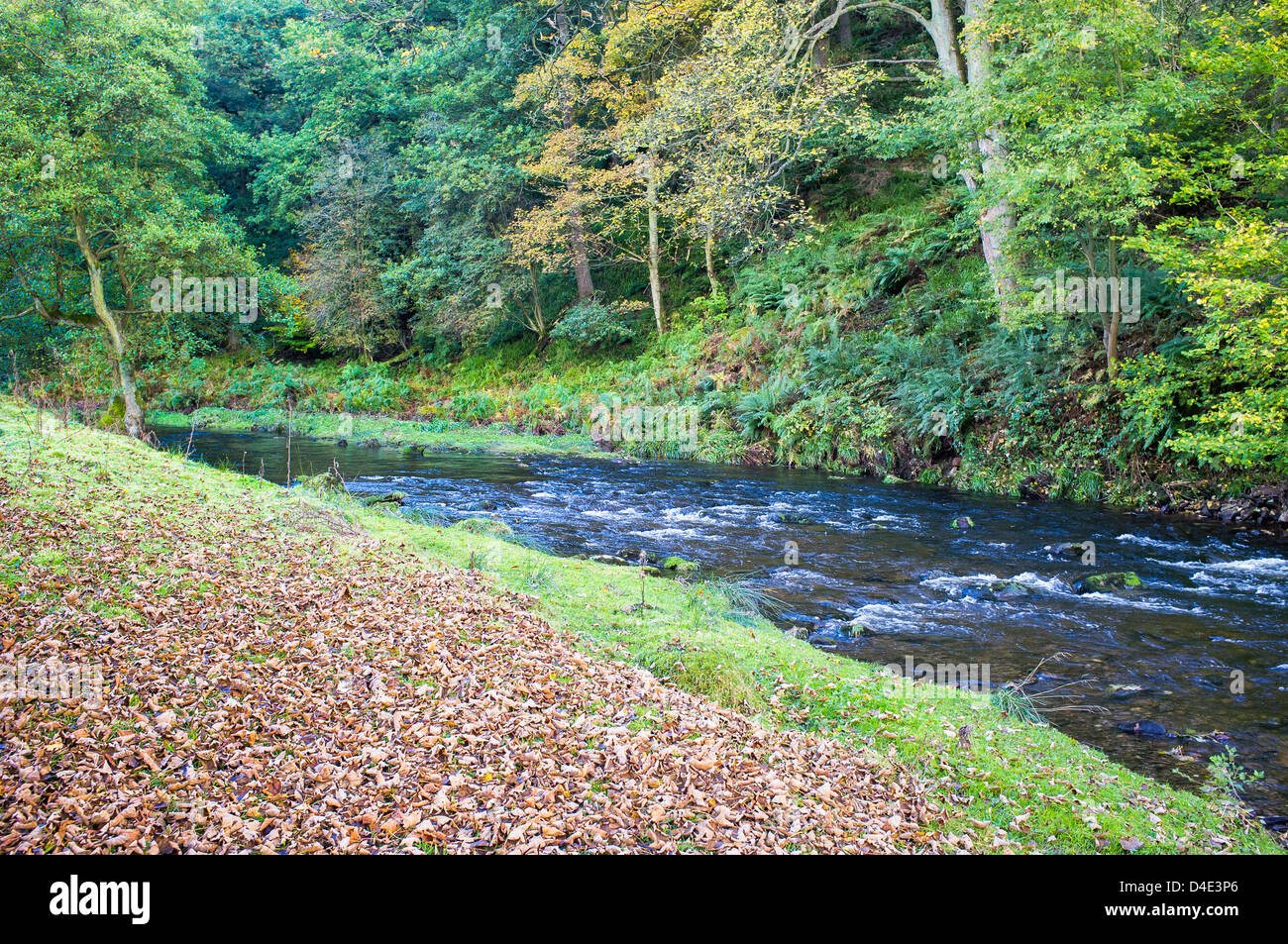 Peak District Stream in Early Autumn Stock Photo - Alamy