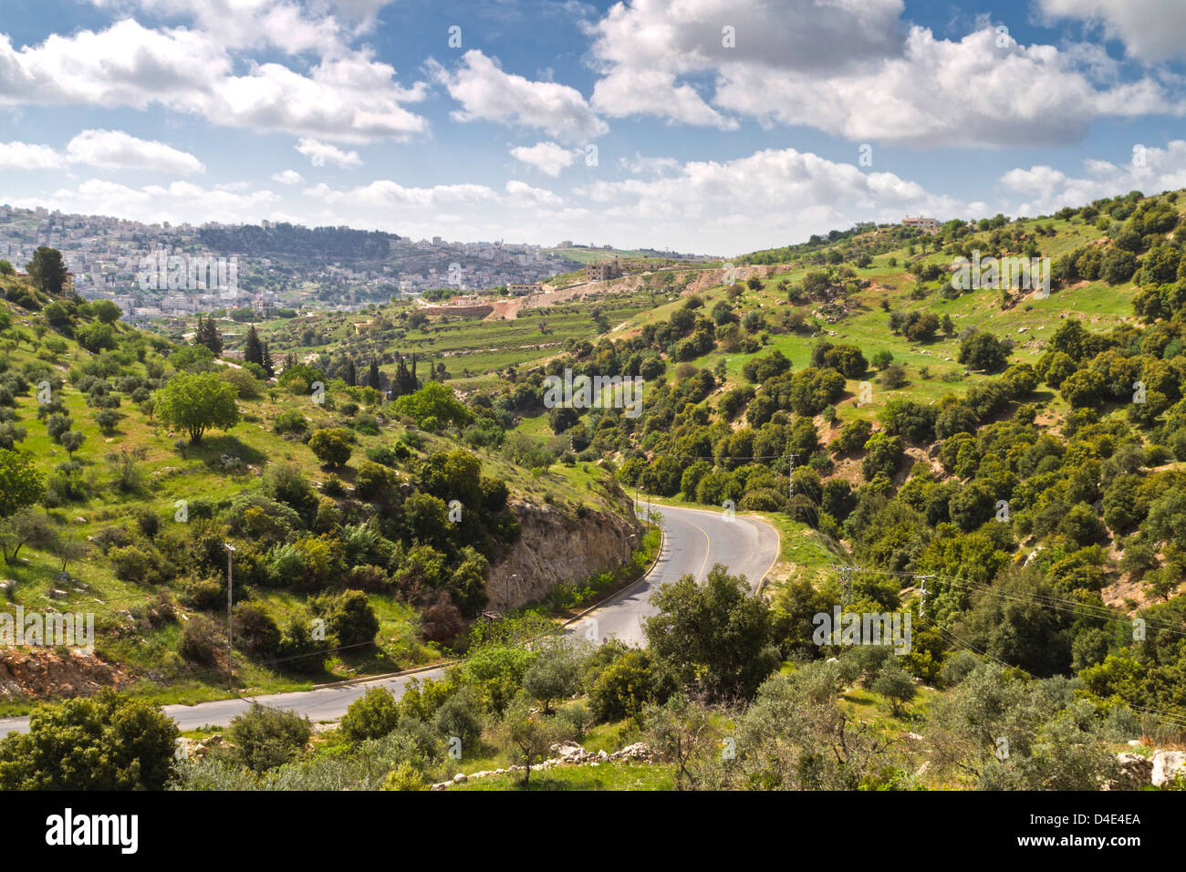 Greenery In Jordan High Resolution Stock Photography and Images - Alamy