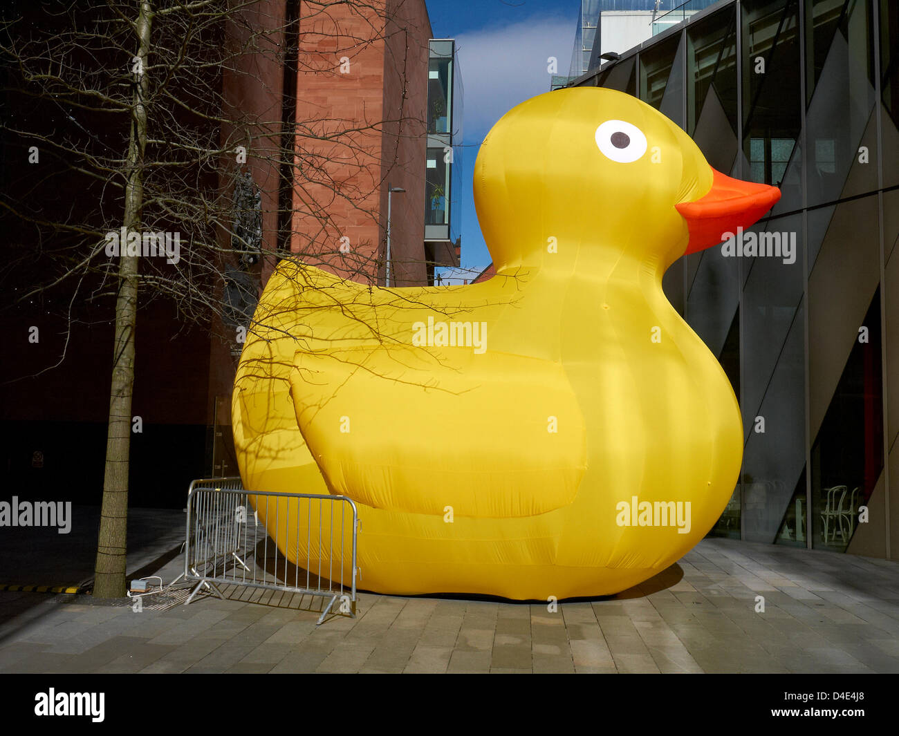 Annual duck race manchester hi-res stock photography and images - Alamy