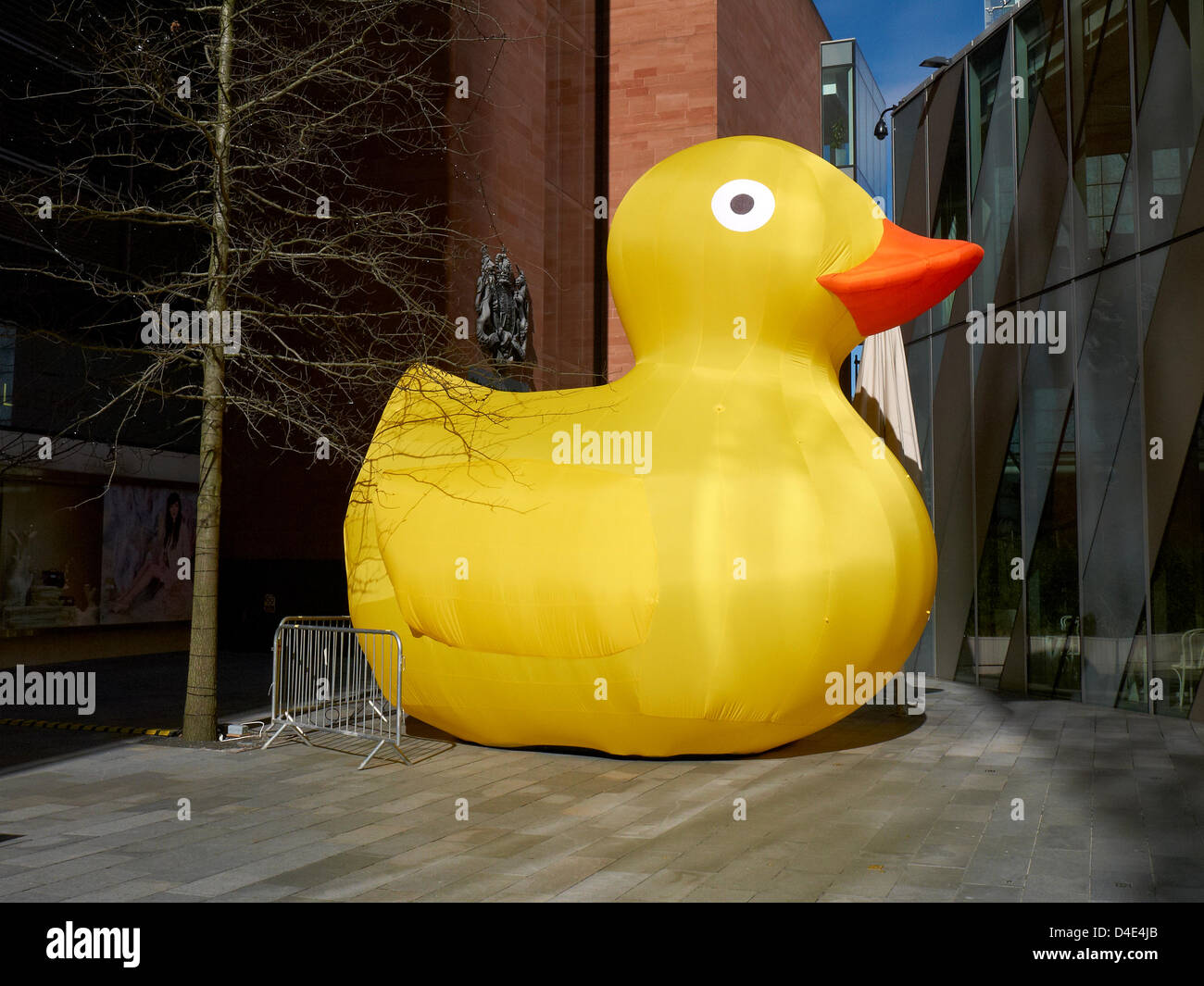 Annual duck race manchester hi-res stock photography and images - Alamy