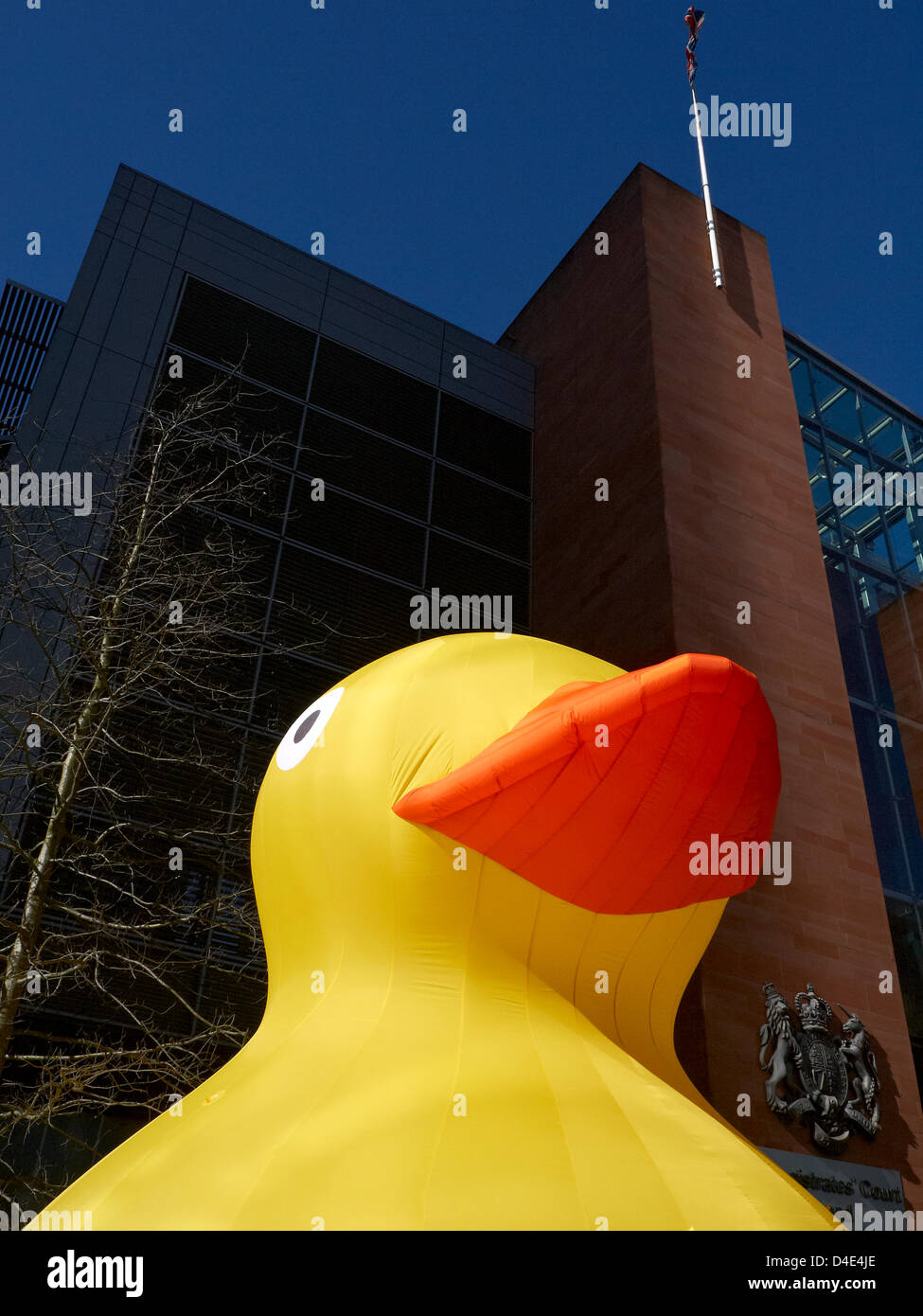 Annual duck race manchester hi-res stock photography and images - Alamy