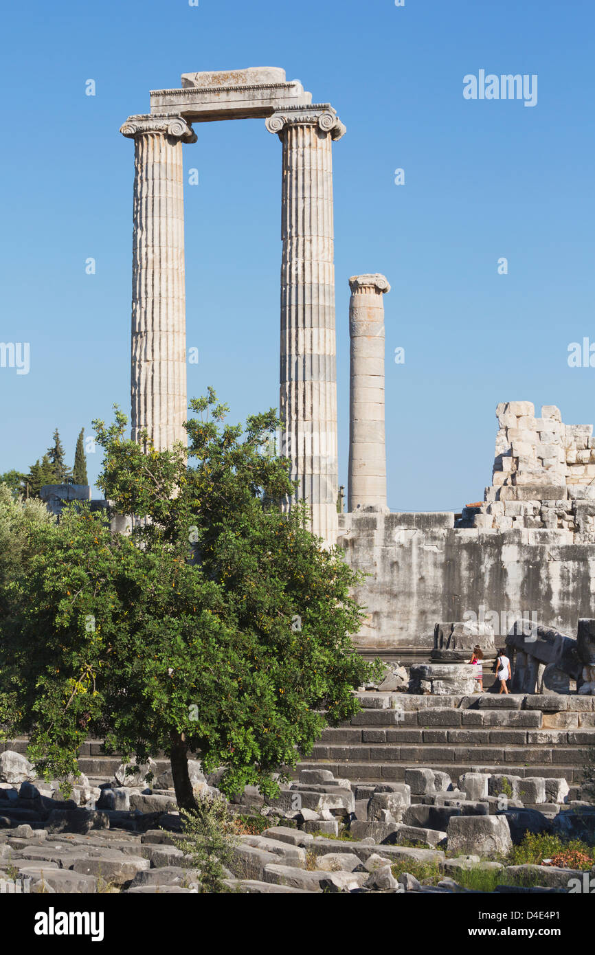Holy apollo hi-res stock photography and images - Alamy