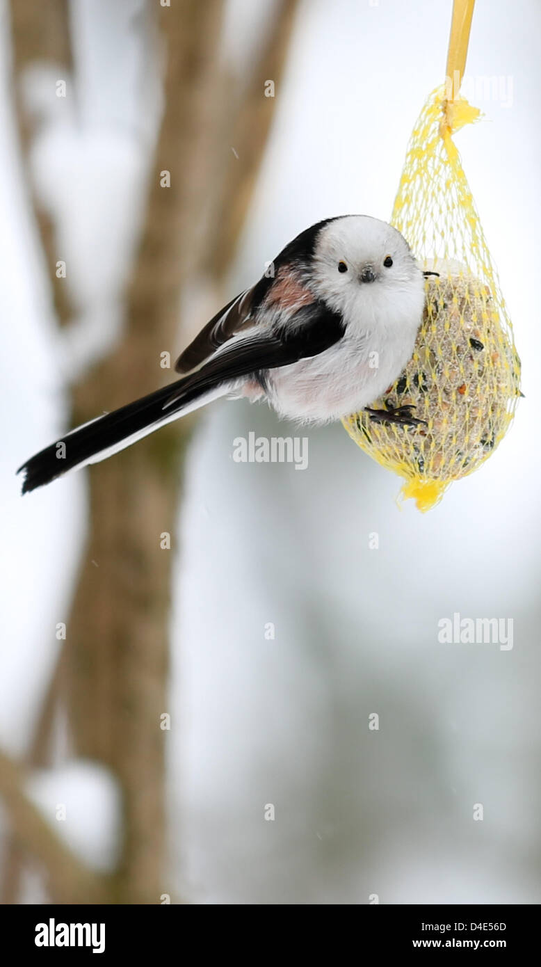 Seed ball hi-res stock photography and images - Alamy