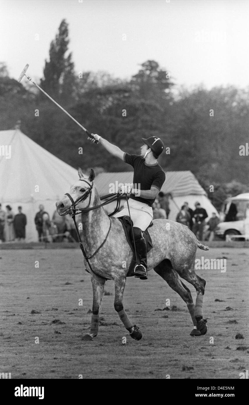 Polo horse Black and White Stock Photos & Images - Alamy