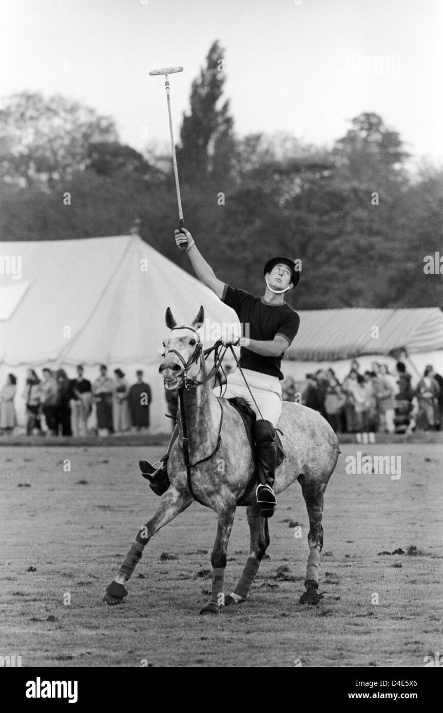 Polo horse Black and White Stock Photos & Images - Alamy
