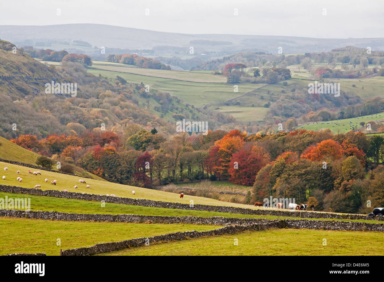 UK, England, Derbyshire, Autumn landscape Stock Photo - Alamy