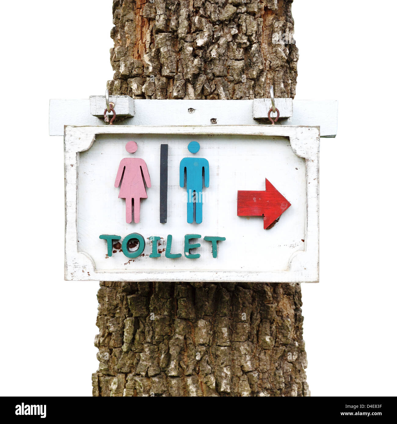 toilet sign with a tree on white background Stock Photo - Alamy