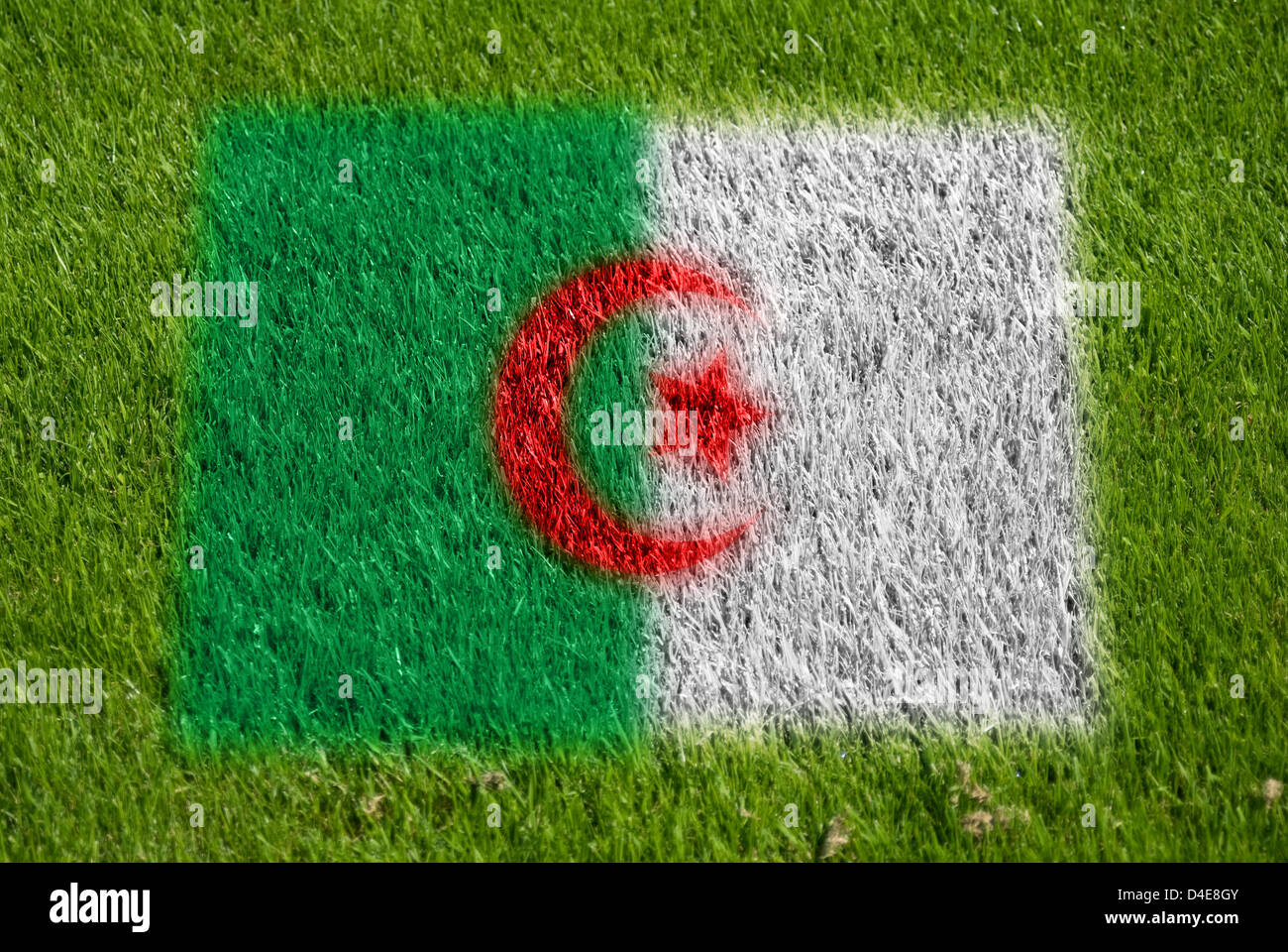 flag of Algeria on grass with spray Stock Photo - Alamy