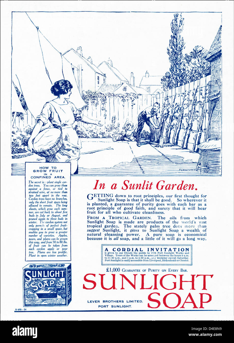 Sunlight soap advert hi-res stock photography and images - Alamy